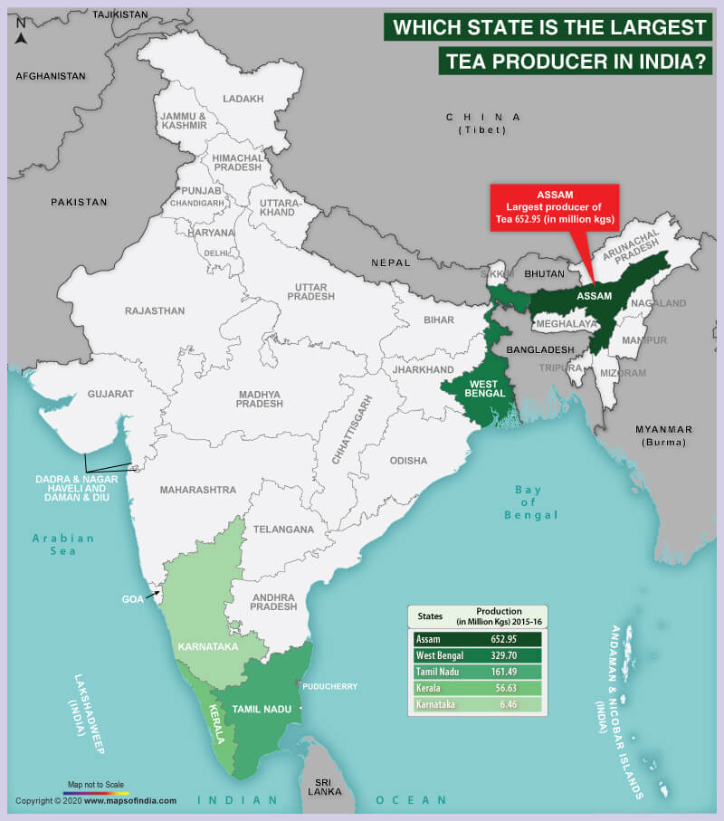 Map of India Showing the Largest Tea Producing State – Answers Map of India Showing the Largest Tea Producing State – Answers