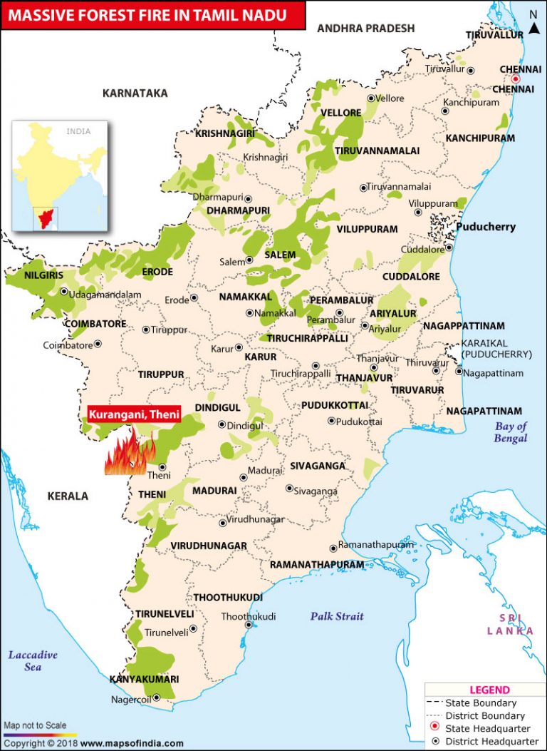 9 Trekkers Dead in Tamil Nadu Forest Fire | Map in News
