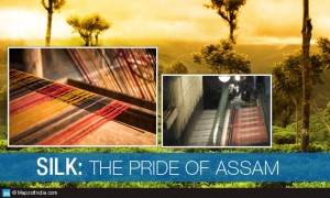 Eri, Muga and Pat: Assam’s Timeless Silks - Government