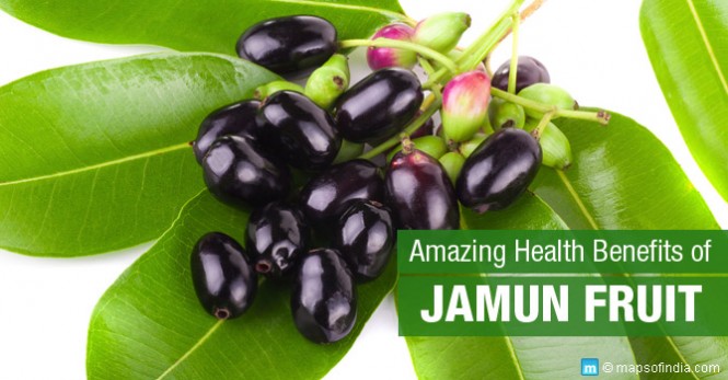 Health Benefits and Uses of Jamun Fruit (Black Plum)