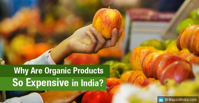 Why Are Organic Foods Expensive In India? - India