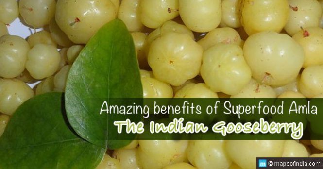 35 Amazing Benefits of Superfood Amla – The Indian Gooseberry - India