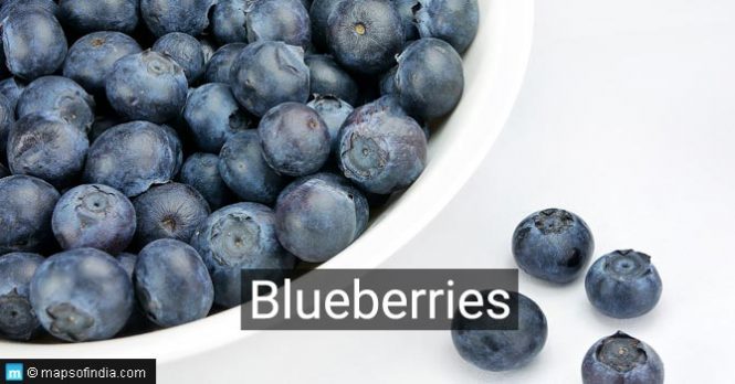 Fruit: Blueberries Nutrition Facts, Health Benefits and Risks