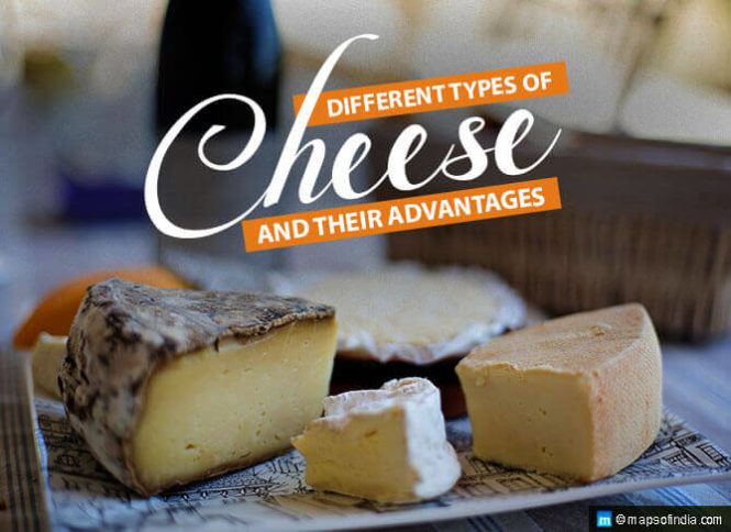 Different Types of Cheese and Their Advantages