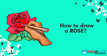 How to draw a Rose? Learn with step by step guide for beginners - Art