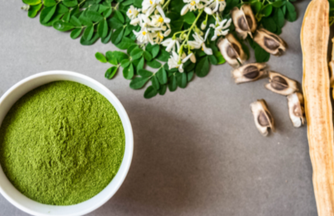 What Are The Benefits of Moringa Powder? - Education Blogs