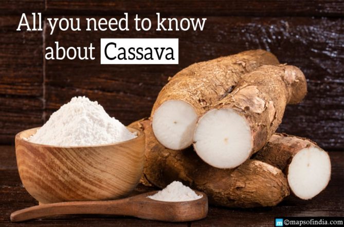 All you need to know about Cassava - Health