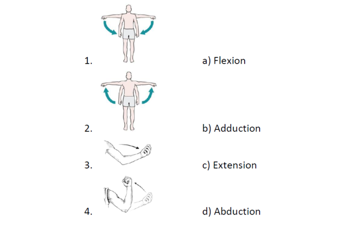 Physical Education Sample Question Paper, CBSE Class 12 Exam 2021-22 ...