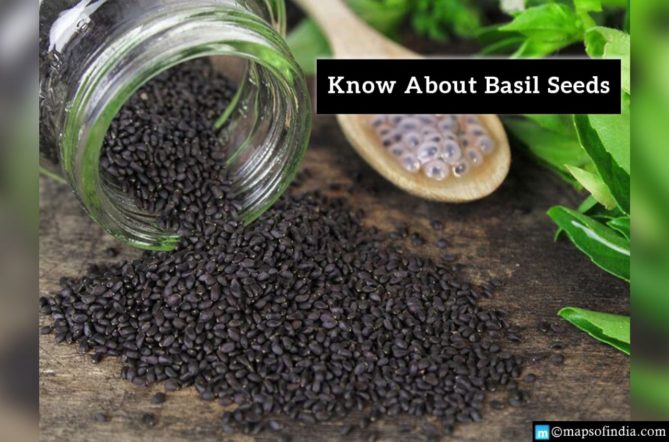 All you need to Know about Basil Seeds - Health