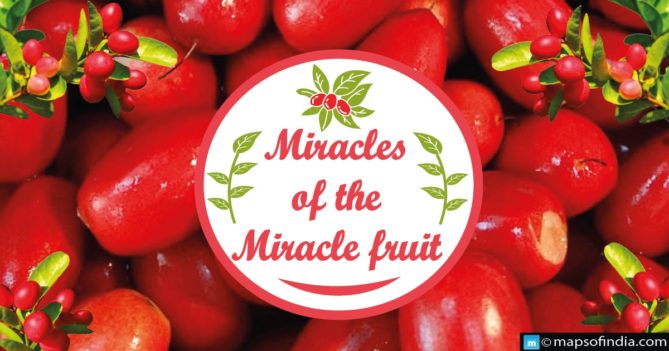 Know about the Miracles Of The Miracle Fruit - Health