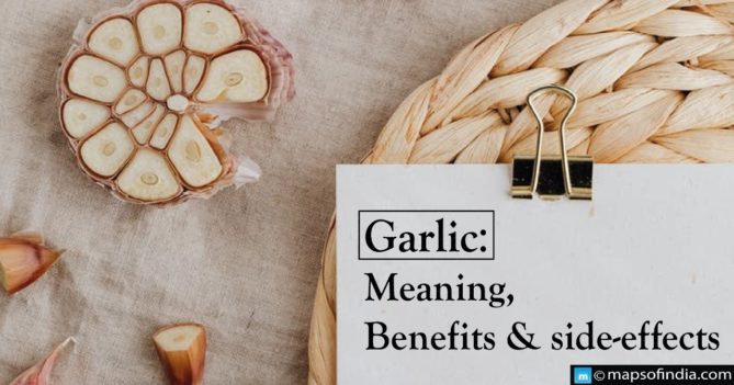Garlic: Meaning, Benefits and Side-Effects - Education Blogs