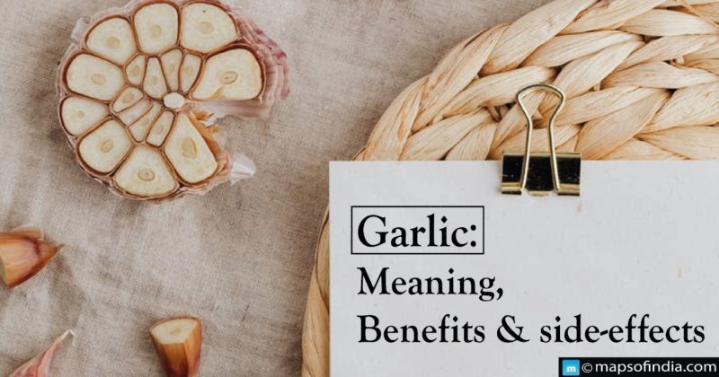 Garlic: Meaning, Benefits and Side-Effects - Education Blogs