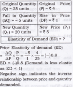 Chapter 4 – Elasticity of Demand Questions and Answers: NCERT Solutions ...