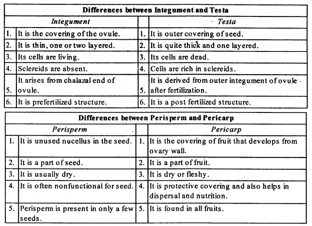 Chapter 2 – Sexual Reproduction in Flowering Plants Questions and ...