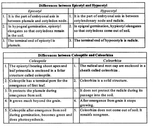 Chapter 2 – Sexual Reproduction in Flowering Plants Questions and ...