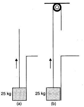 Chapter 5 – Laws of motion Questions and Answers: NCERT Solutions for ...