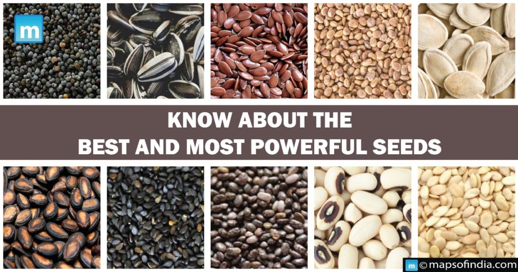Know about the best and most powerful seeds - Diet