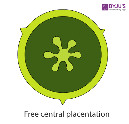 Chapter 5 – Morphology of Flowering Plants Questions and Answers: NCERT ...