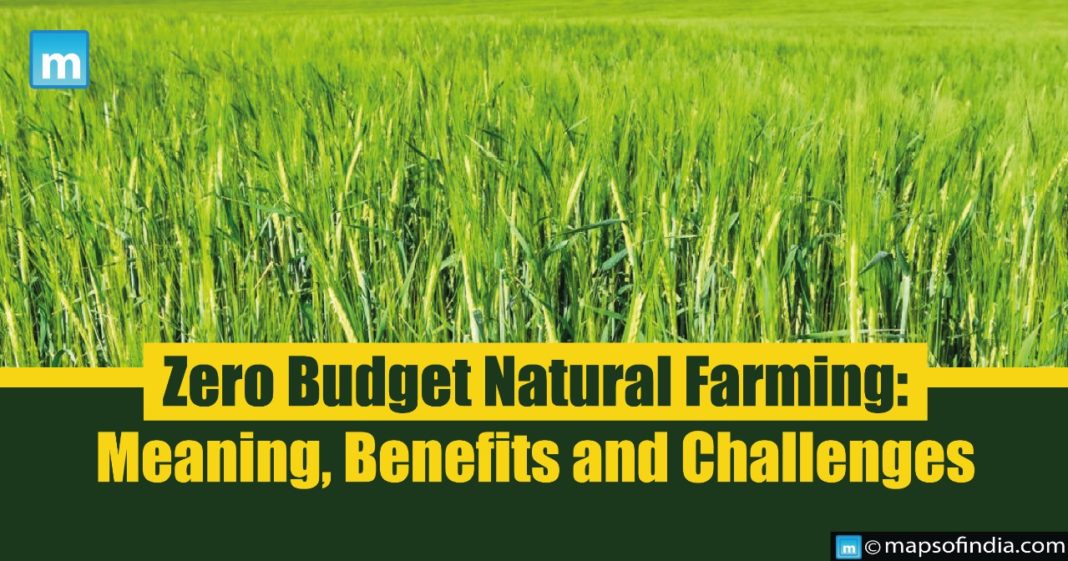 Zero Budget Natural Farming: Meaning, Benefits and Challenges - Agriculture