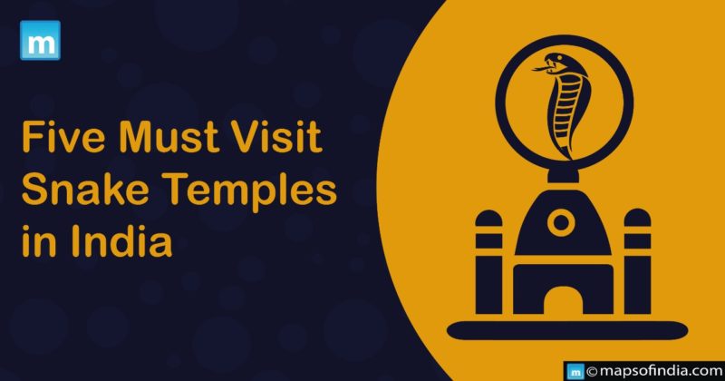 Five Must Visit Snake Temples in India - Animals