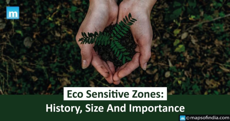 Eco Sensitive Zones: History, Size And Importance - Animals