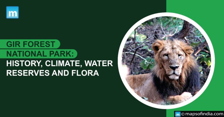 Gir Forest National Park: History, Climate, Water Reserves And Flora ...