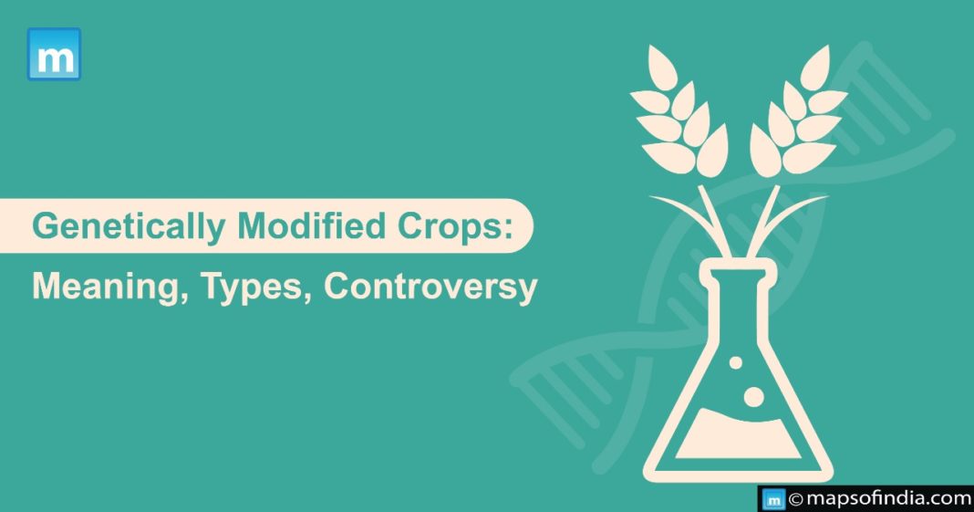 Genetically Modified Crops: Meaning, Types And Controversy - Crops