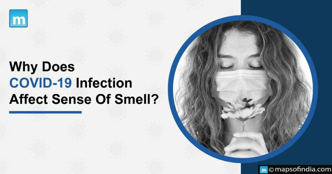 Why Does COVID-19 Infection Affect The Sense Of Smell? - Asia