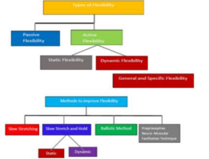 Define flexibility along with its types. Explain any two methods used ...