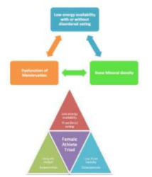 What is the meaning of female athletes Triad? Explain any two in brief ...