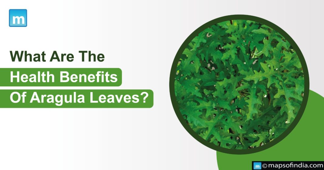 What Are The Health Benefits Of Arugula Leaves? - Benefits