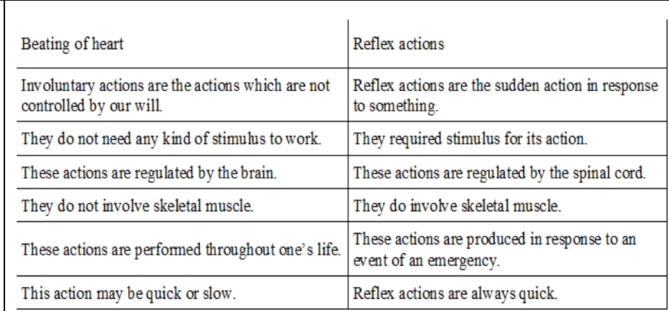 How is the mode of action in beating of the heart different from reflex ...
