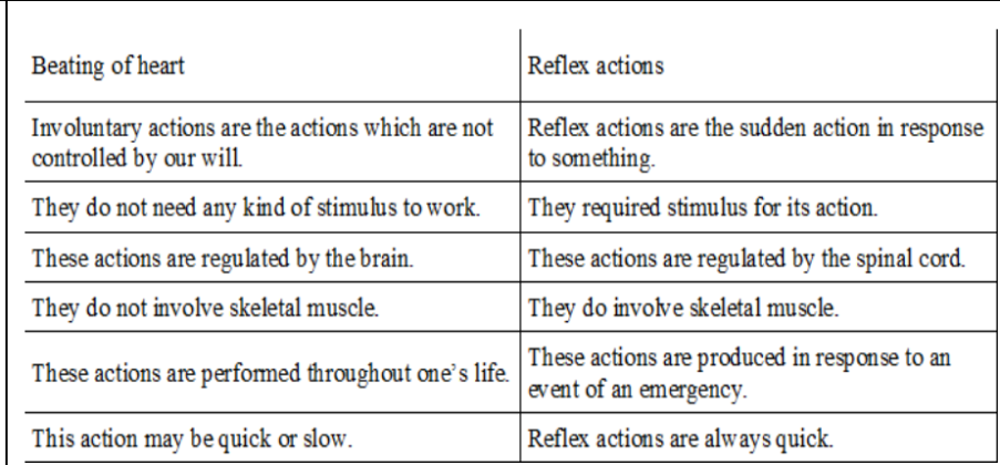 How is the mode of action in beating of the heart different from reflex ...