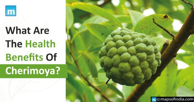 What Are The Health Benefits Of Cherimoya? - Benefits