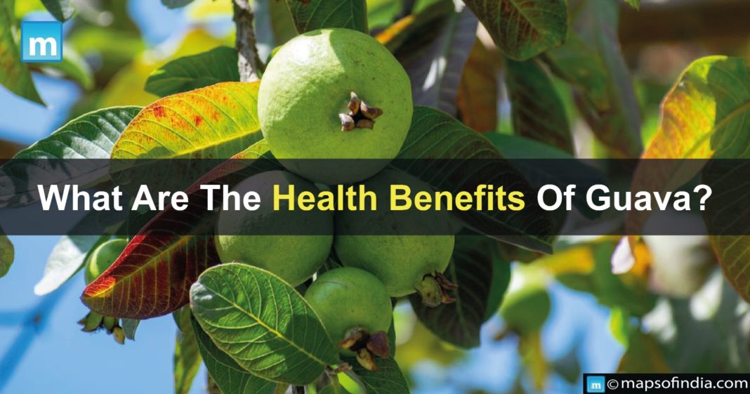 What Are The Health Benefits Of Guava? - Benefits