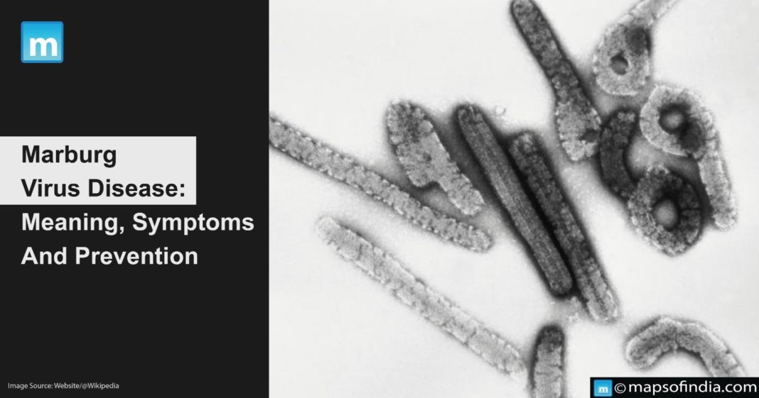 Marburg Virus Disease: Meaning, Symptoms And Prevention - Blog