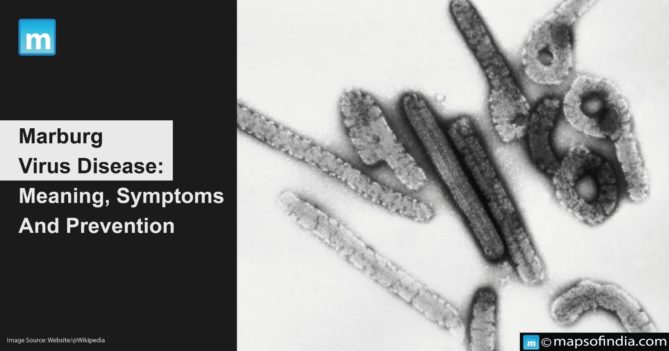 Marburg Virus Disease: Meaning, Symptoms And Prevention - Blog