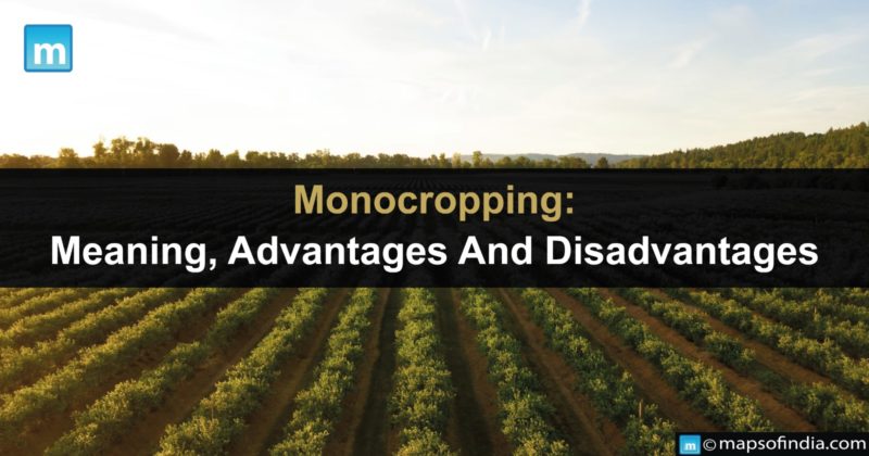 Monocropping: Meaning, Advantages And Disadvantages - Agriculture