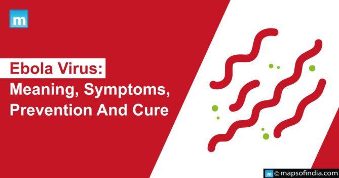 Ebola Virus: Meaning, Symptoms, Prevention And Cure - Animals