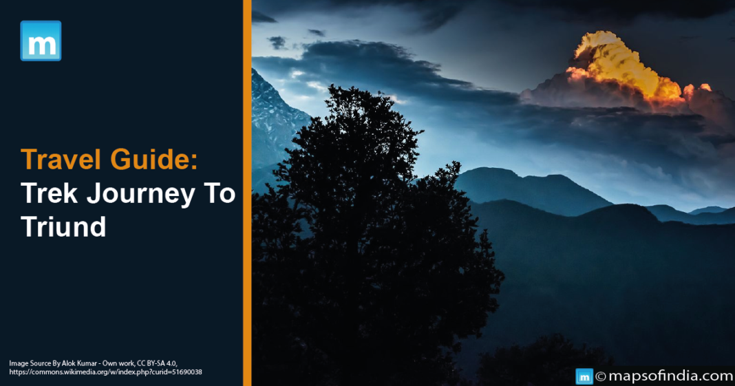 Travel Guide: Trek Journey To Triund - Blog
