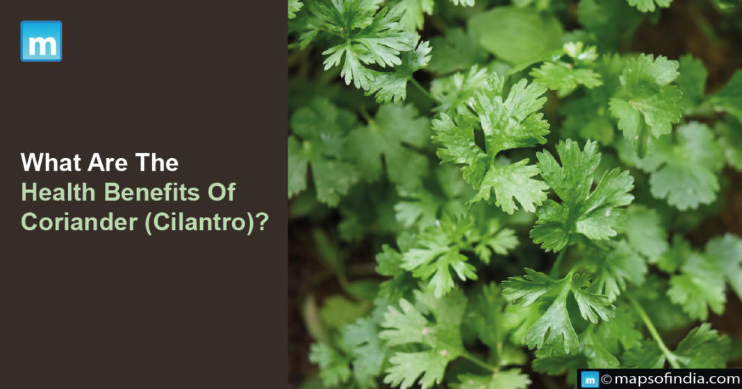 What Are The Health Benefits Of Coriander (Cilantro)? - Benefits