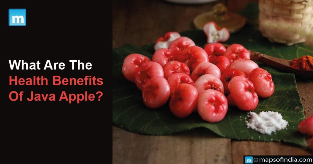 What Are The Health Benefits Of Java Apple? - Benefits