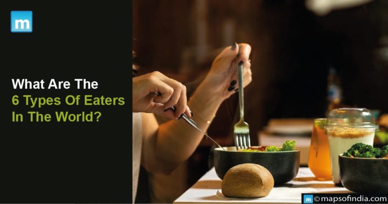 What Are The 6 Types Of Eaters In The World? - Blog