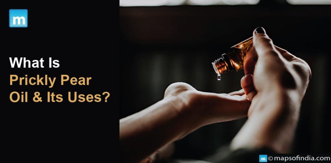 What Is Prickly Pear Oil And Its Uses? - Benefits