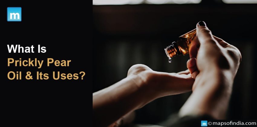 What Is Prickly Pear Oil And Its Uses? - Benefits