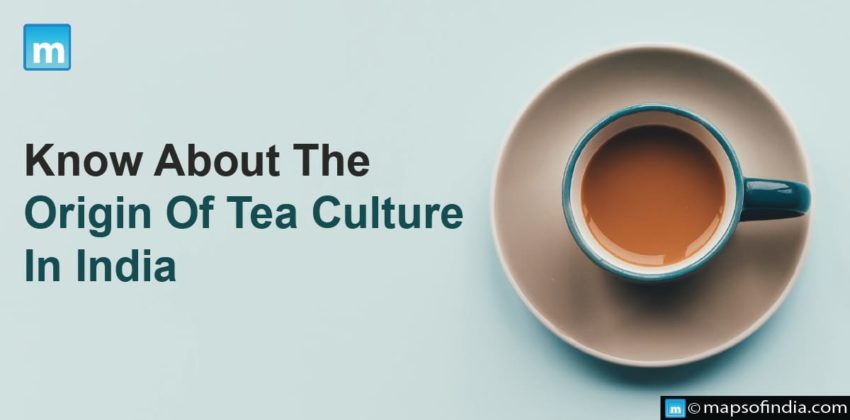 Know About The Origin Of Tea Culture In India - Asia
