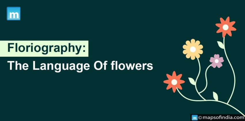Floriography: The Language Of Flowers - Beauty