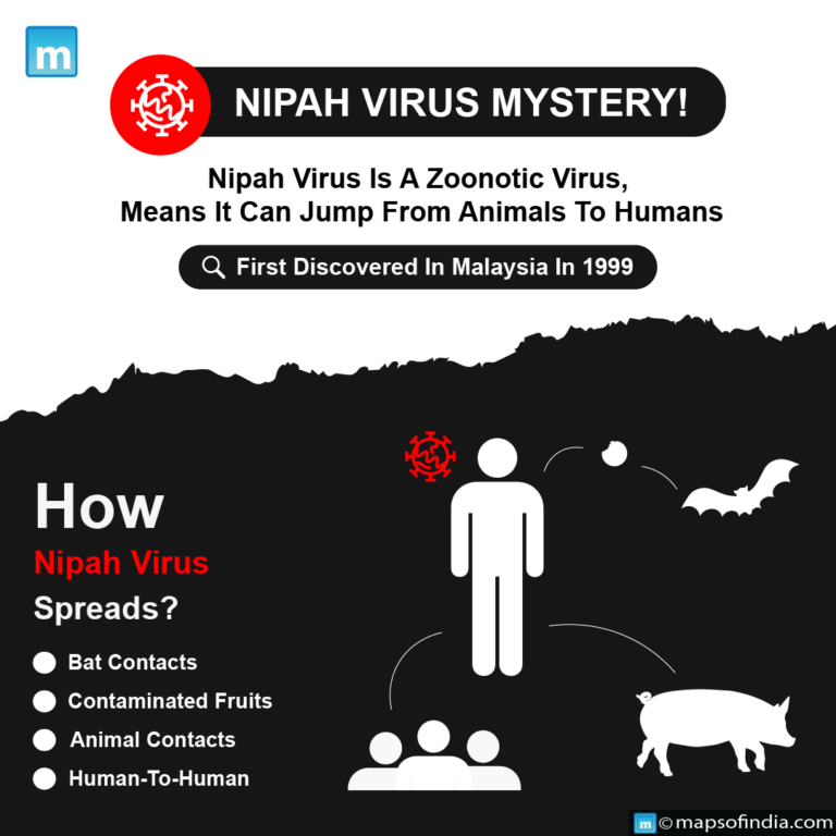 Nipah Virus: Origin, Symptoms And Prevention - Asia