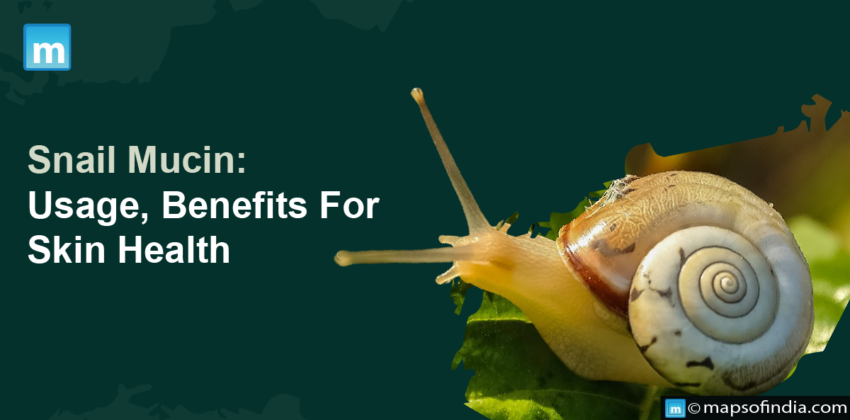 Snail Mucin: Usage, Benefits For Skin Health - India