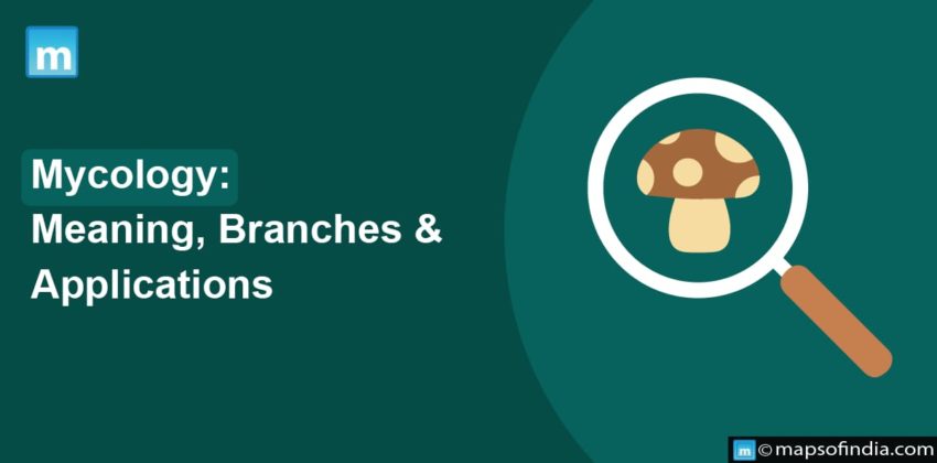 Mycology: Meaning, Branches & Applications - Blog